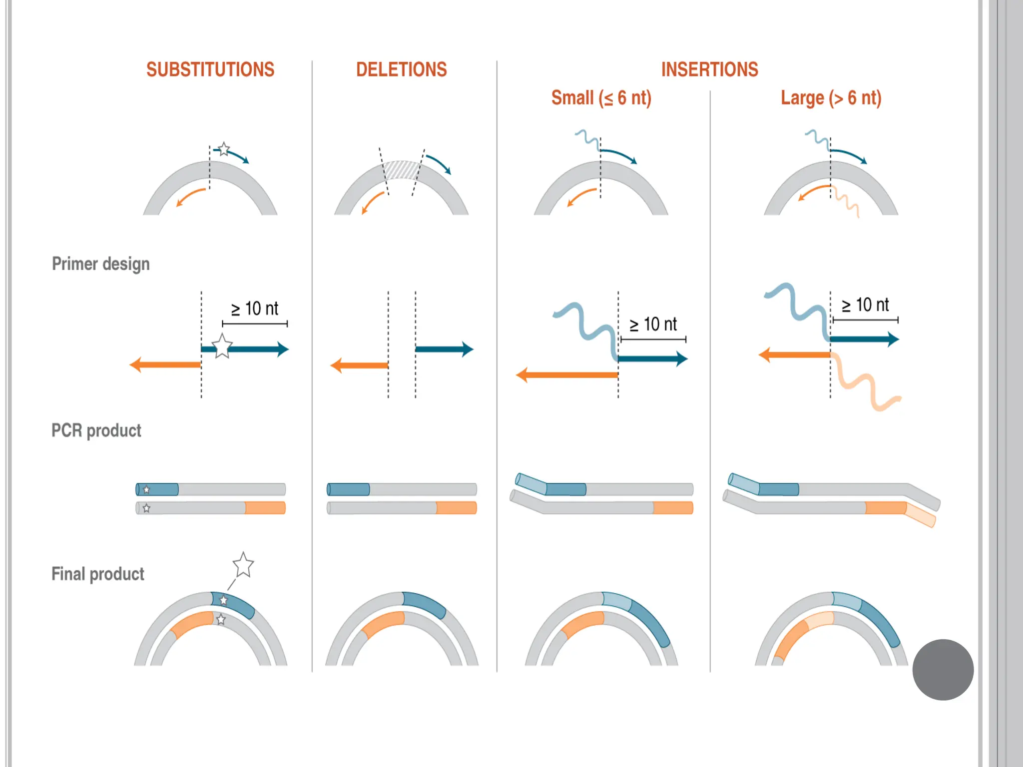 Protein Engineering by Rational Design (Tools & Techniques).pdf