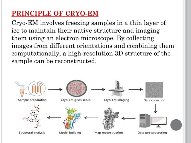 Protein Engineering by Rational Design (Tools & Techniques).pdf