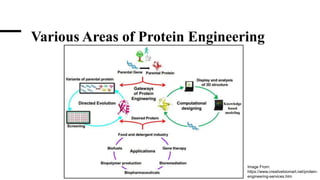 Protein Engineering Human Interferon.pptx