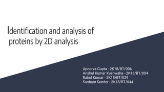 2d analysis for protein ppt | PDF