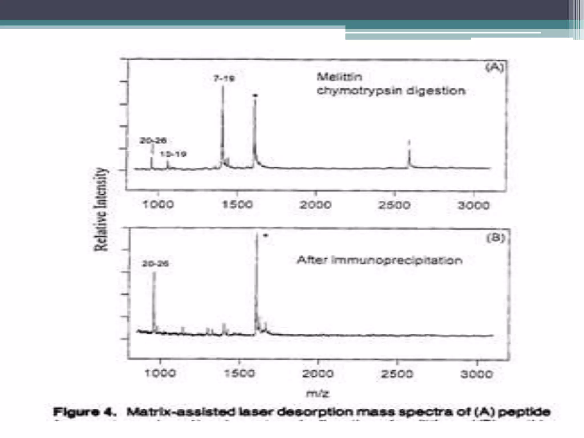 Protein epitope mapping by mass spectrometry | PPT