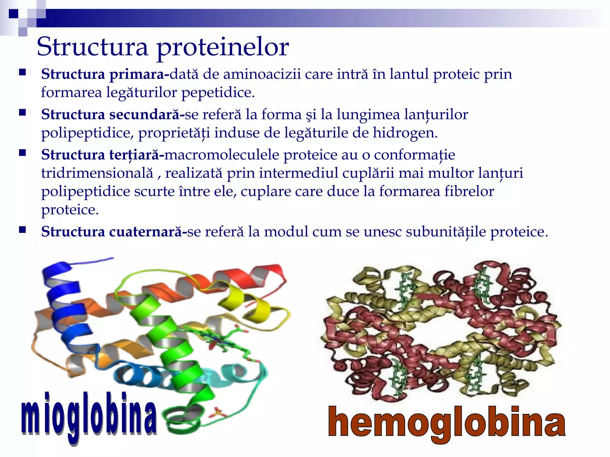 Proteine Ppt | ODP