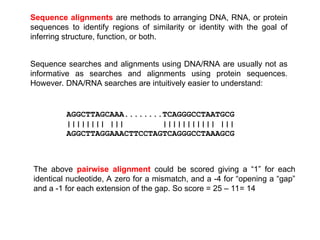 Protein Evolution and Sequence Analysis.ppt