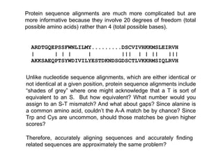Protein Evolution and Sequence Analysis.ppt