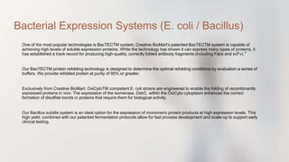 Protein expression and purification services from creative biomart | PPT