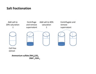 Protein expression and purification slides.pdf