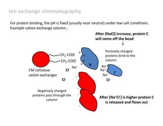 Protein expression and purification slides.pdf