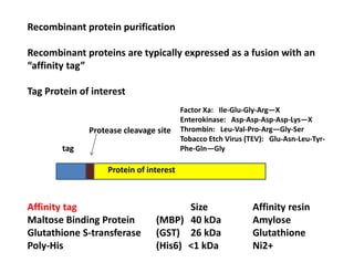 Protein expression and purification slides.pdf