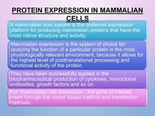 PROTEIN EXPRESSION IN MAMMALIAN CELLS.pptx