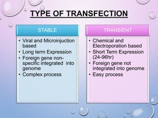 PROTEIN EXPRESSION IN MAMMALIAN CELLS.pptx