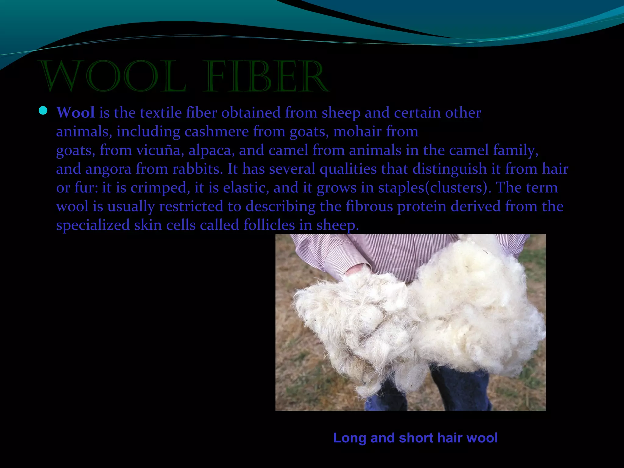 Protein fibers... | PPT
