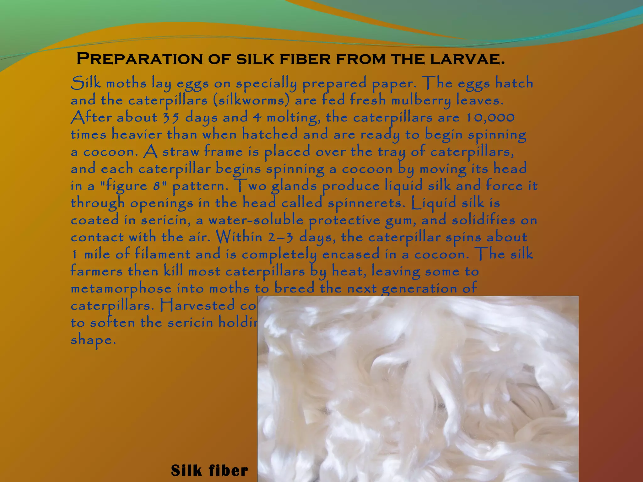 Protein fibers... | PPT