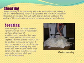 Protein fibers... | PPT