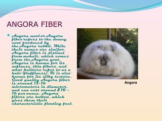 Protein fibers... | PPT