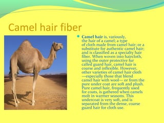 Protein fibers... | PPT