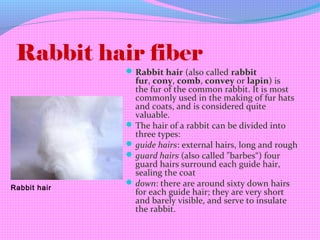 Protein fibers... | PPT