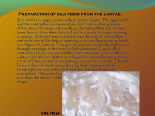 Protein fibers... | PPT