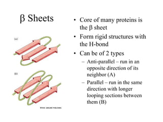 protein | PPT