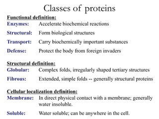 protein | PDF