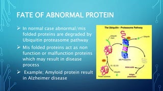 Protein folding | PPTX