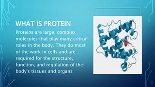 Protein folding | PPTX