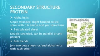 Protein folding | PPTX