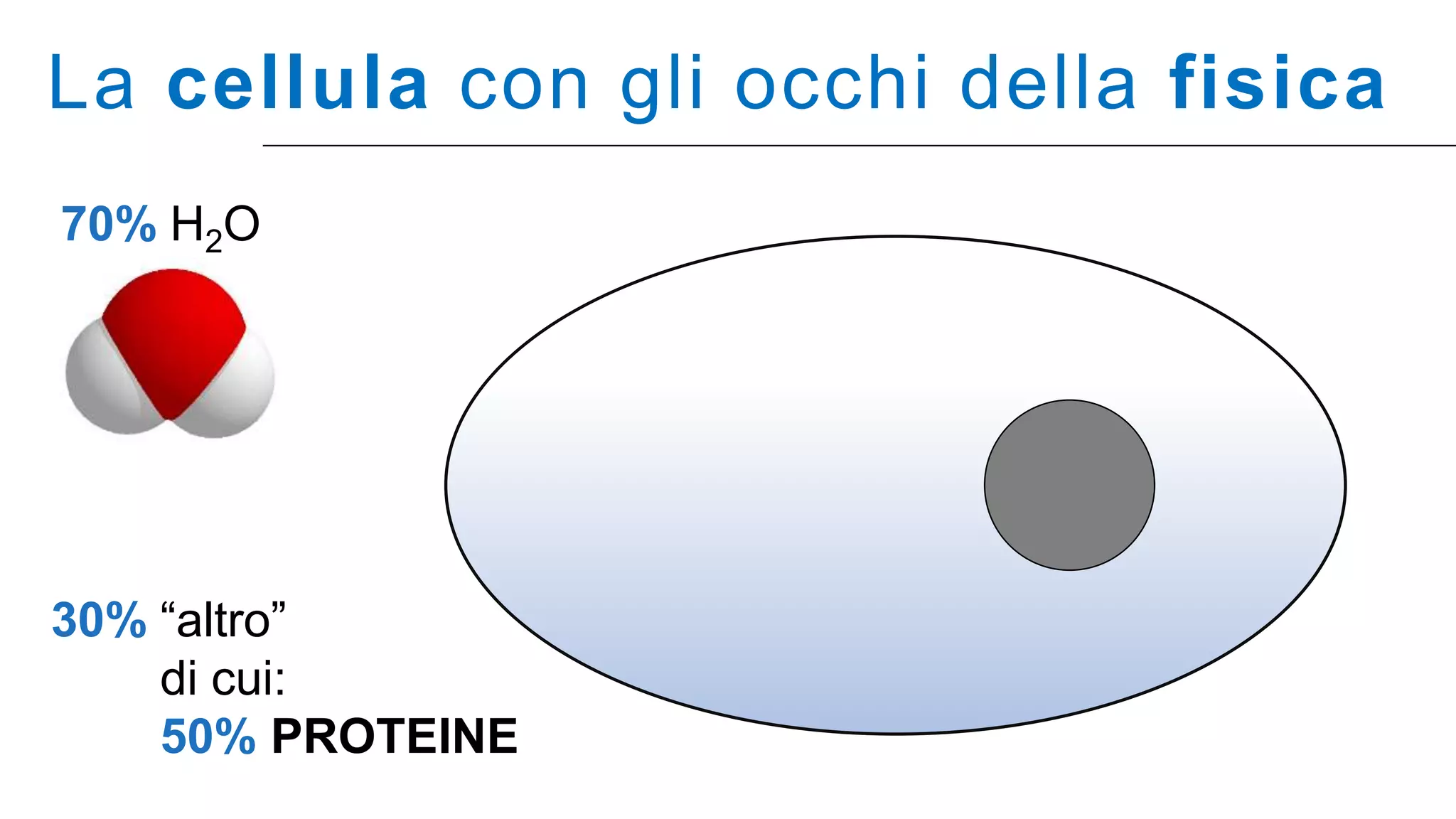 Protein Folding | PPT