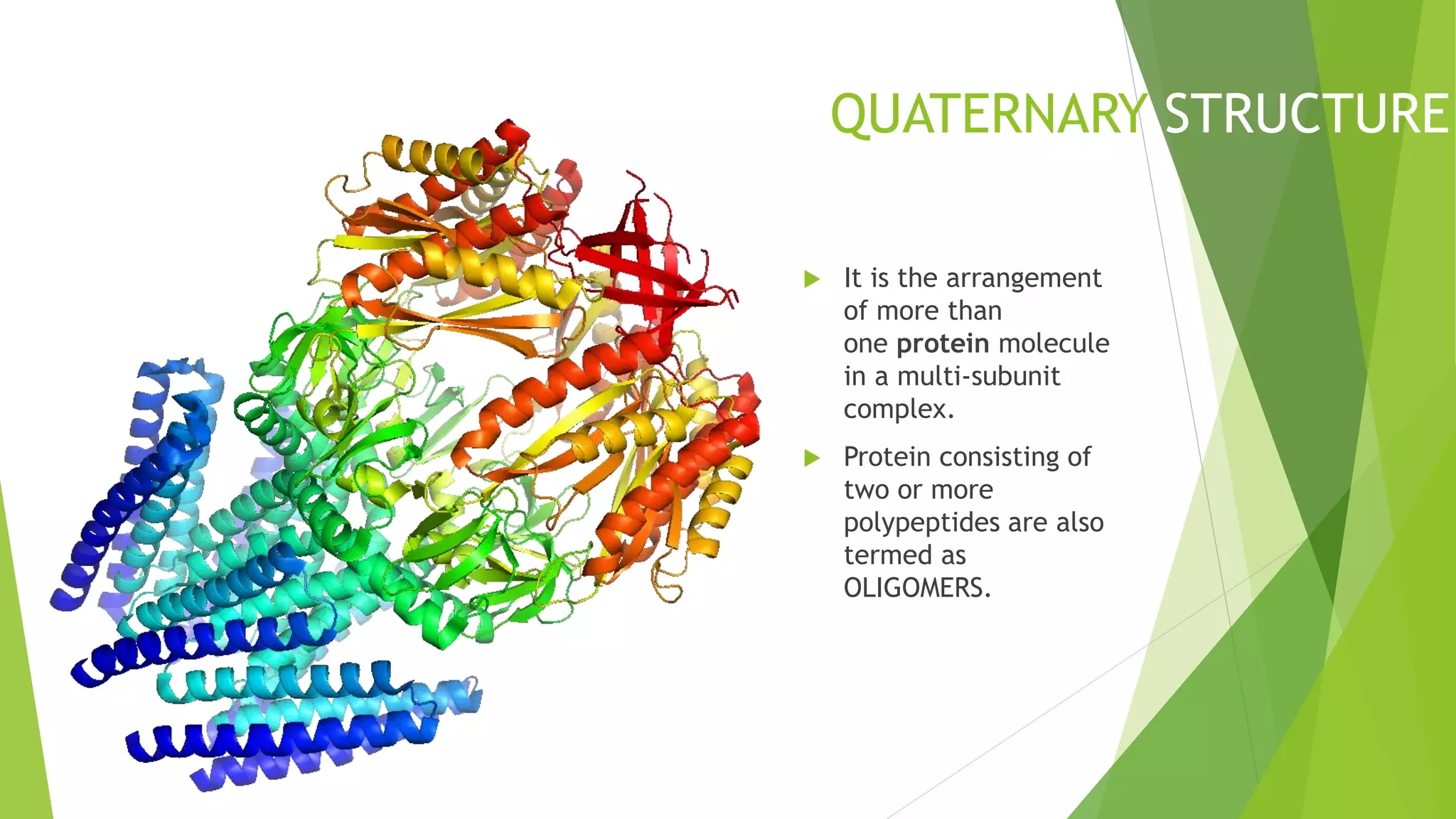 Protein folding | PPTX | Chemistry | Science