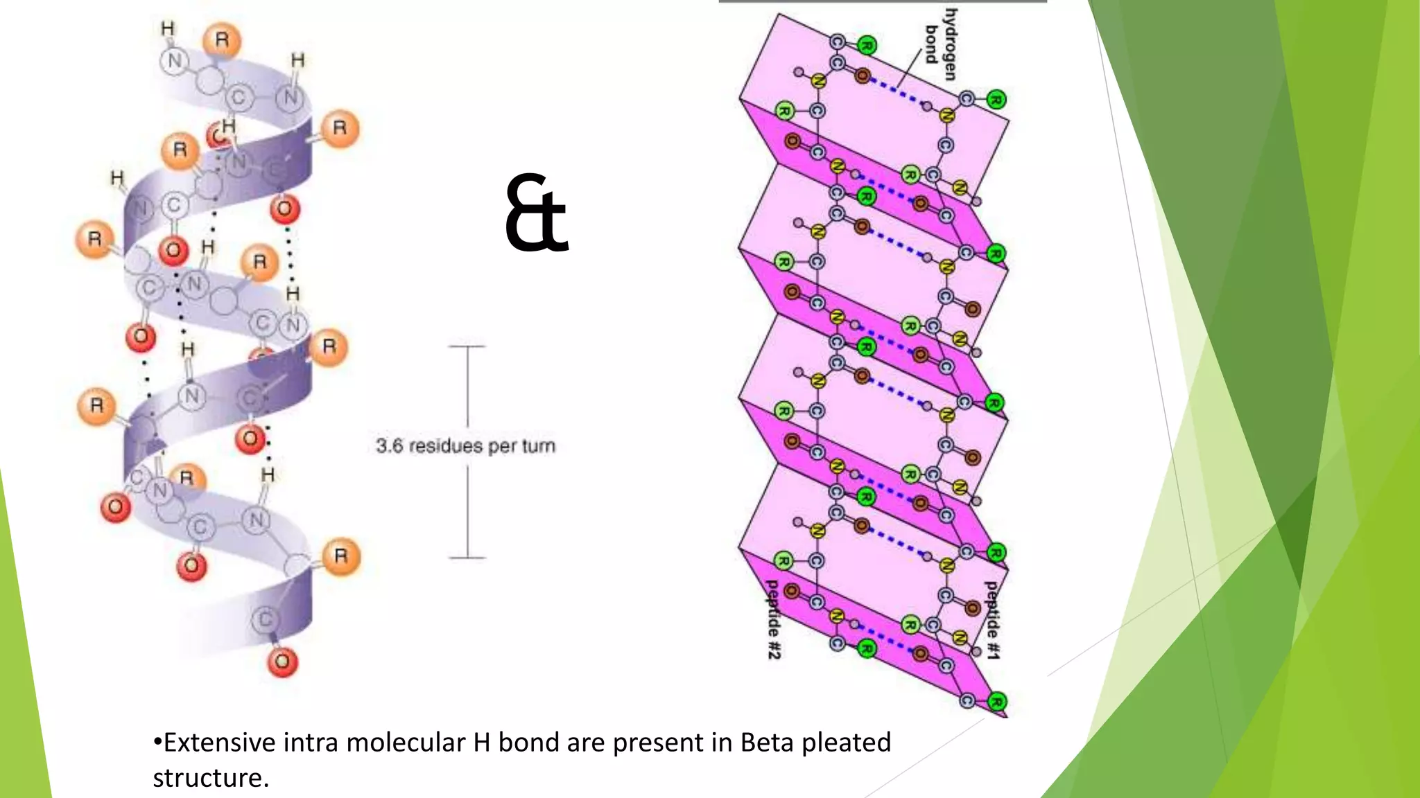 Protein folding | PPTX | Chemistry | Science