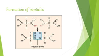 Protein folding | PPTX