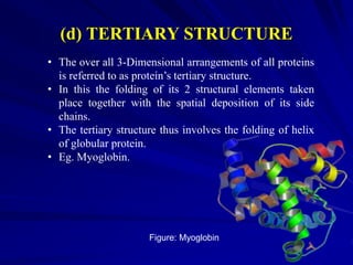 Protein folding by KK Sahu sir | PPT