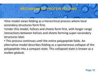 Protein folding by KK Sahu | PPT