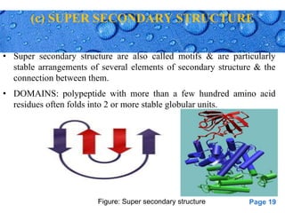 Protein folding by KK Sahu | PPT