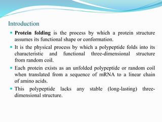 Protein folding | PPTX