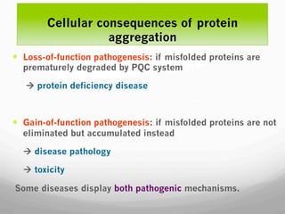 Protein folding.pdf