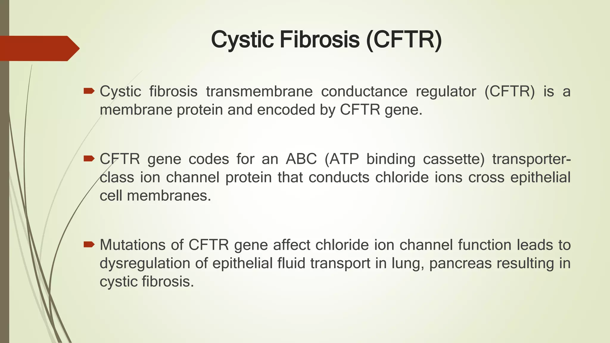 Protein Folding.pdf