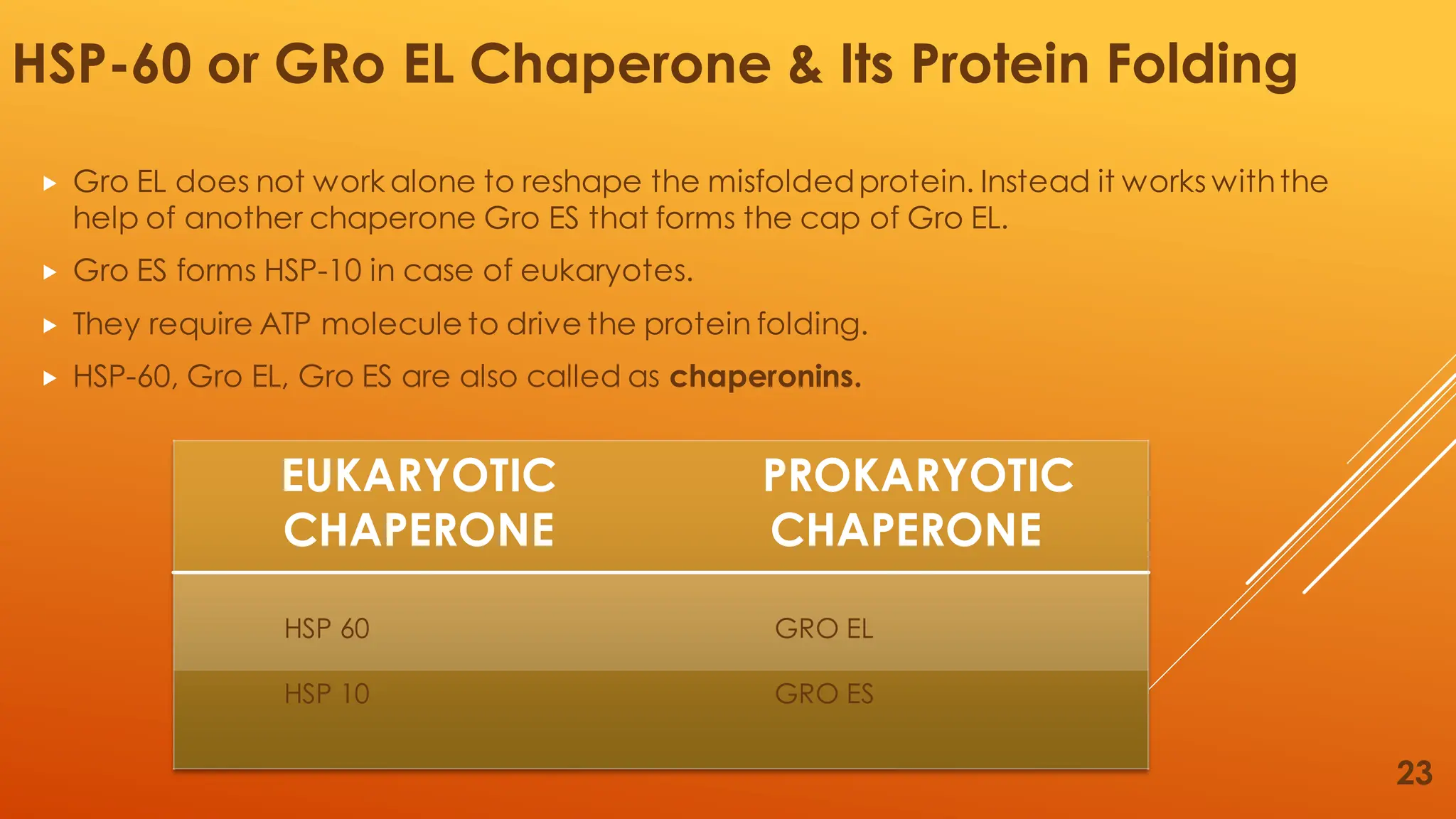 Protein Folding-Self Assembly & Role of Chaperones in Protein Assembly ...