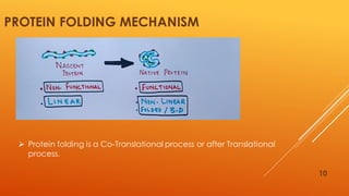 Protein Folding-Self Assembly & Role of Chaperones in Protein Assembly ...