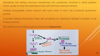 Protein Folding-Self Assembly & Role of Chaperones in Protein Assembly ...