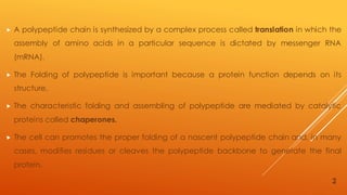 Protein Folding-Self Assembly & Role of Chaperones in Protein Assembly ...