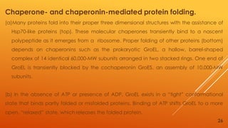 Protein Folding-Self Assembly & Role of Chaperones in Protein Assembly ...