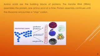 Protein Folding-Self Assembly & Role of Chaperones in Protein Assembly ...