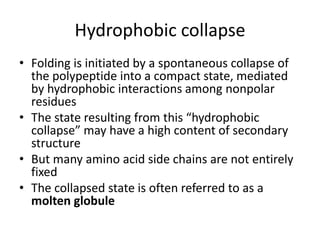 Protein folding | PDF