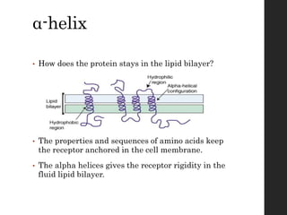 Protein folding | PPTX