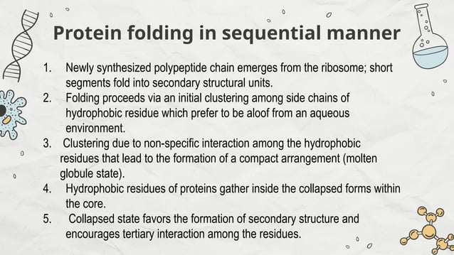 protein folding in ER.pptx ENZYMES AND CHAPERONS INVOLVED | PPTX