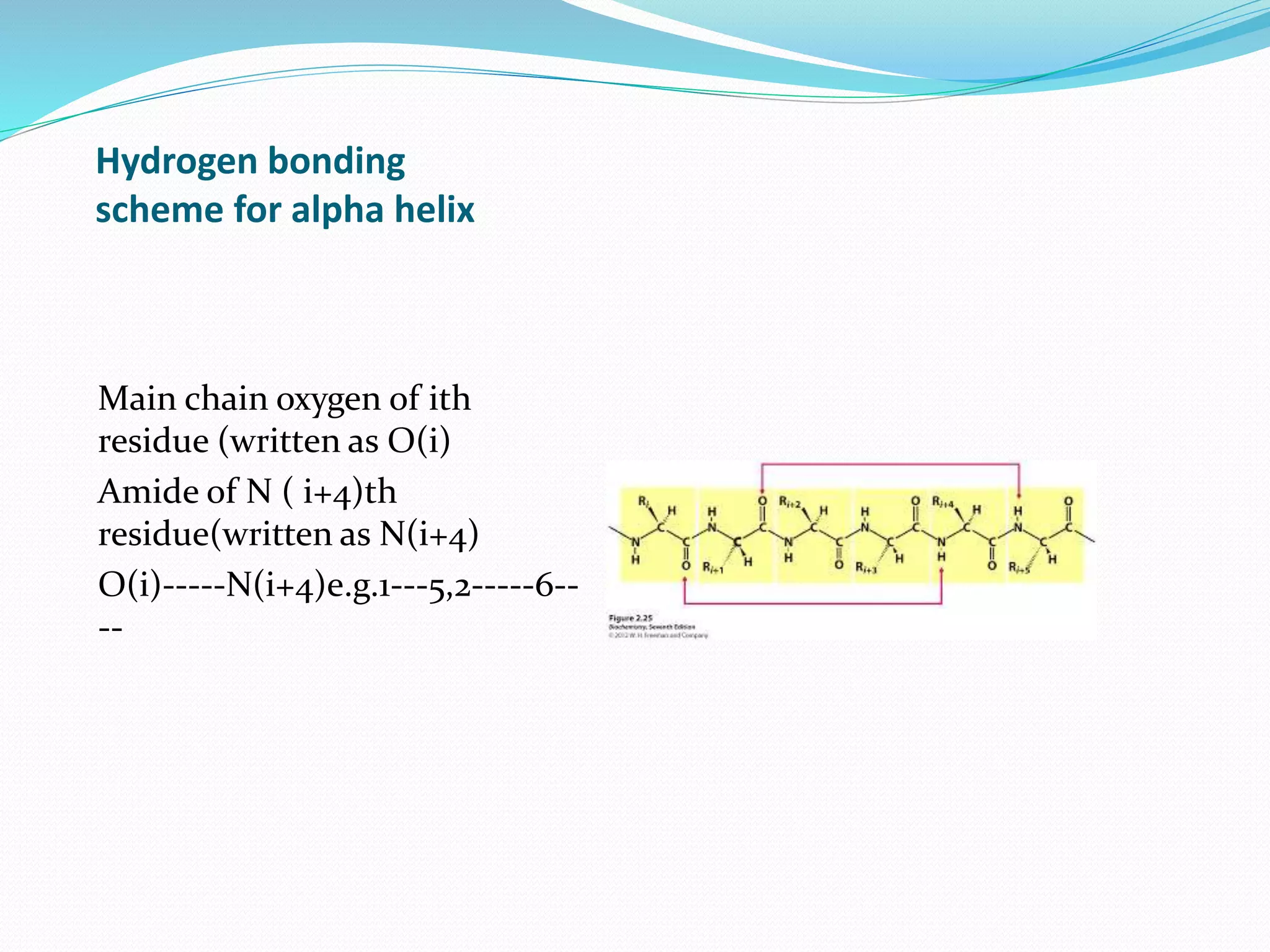 Protein Folding Mechanism | PPTX