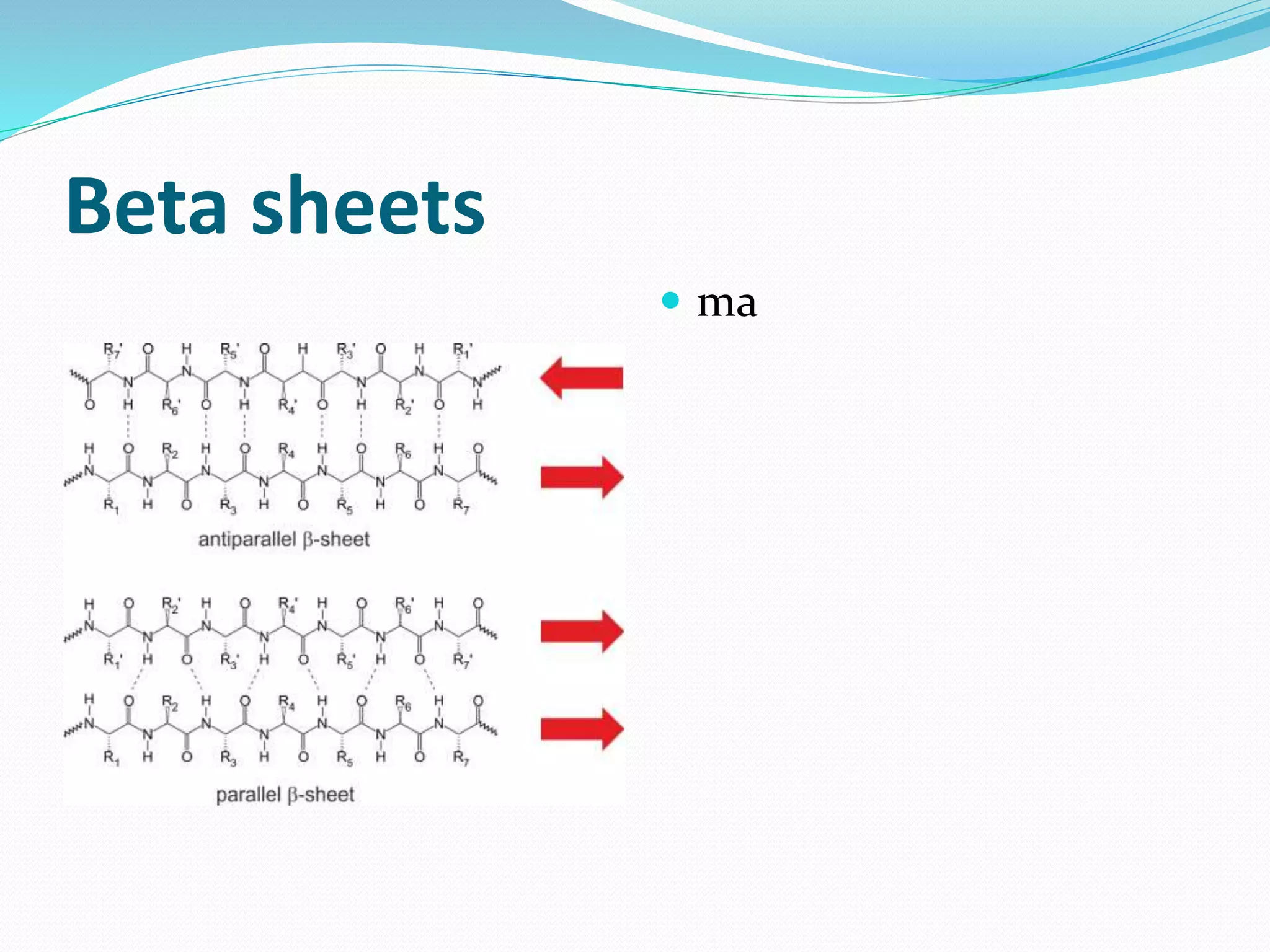 Protein Folding Mechanism | PPTX