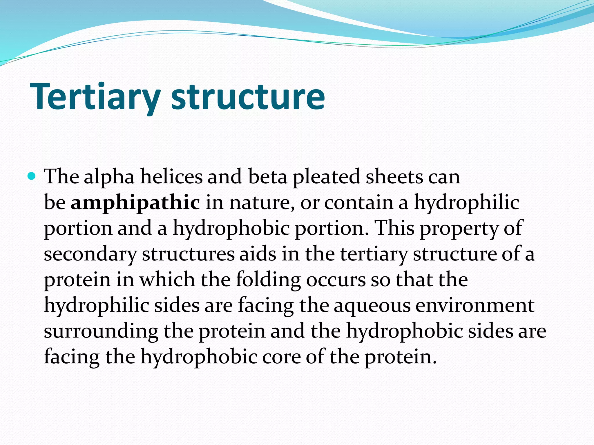 Protein Folding Mechanism | PPTX