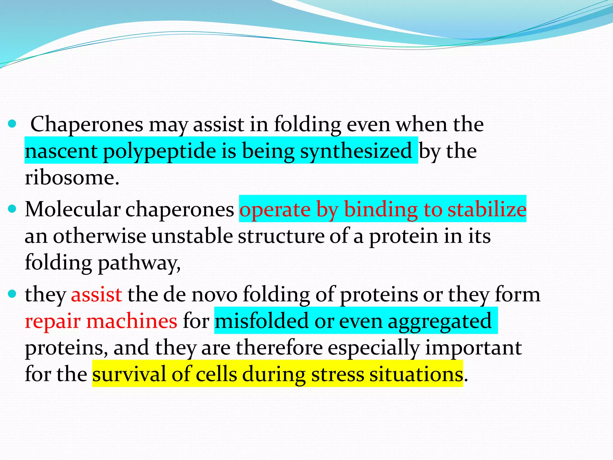 Protein Folding Mechanism | PPTX