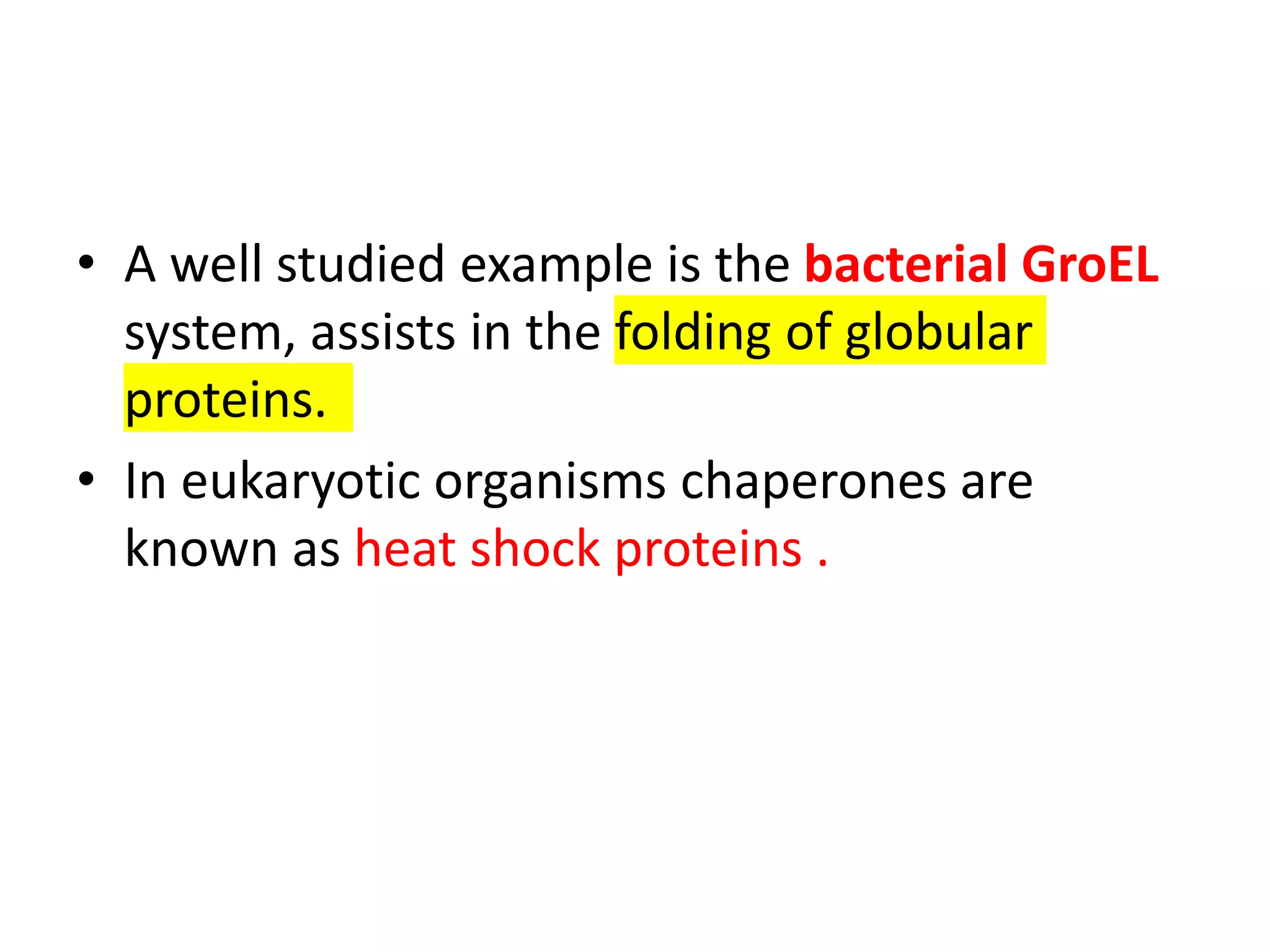 Protein Folding Mechanism | PPTX